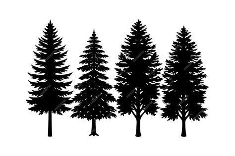 Premium Vector A Set Of Highly Detailed 4 Ceder Tree Silhouette