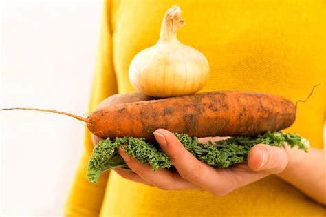 유기농 야채입니다 갓 수확된 한 야채와 함께 여자의 손입니다 당근 양파 채소 감자 감자 요리에 대한 스톡 사진 및 기타 이미지