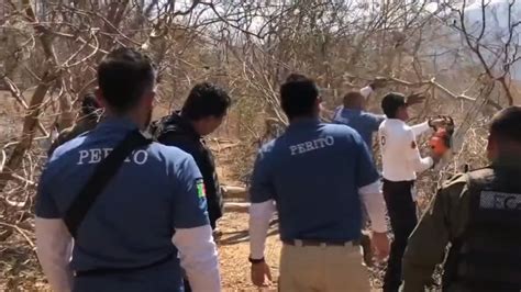 Localizan Fosas Clandestinas Con Once Cuerpos En Colima N