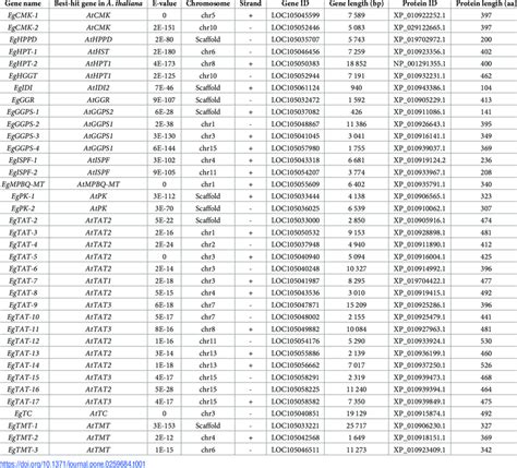 Predicted Candidate Genes Involved In Vitamin E Biosynthesis In E