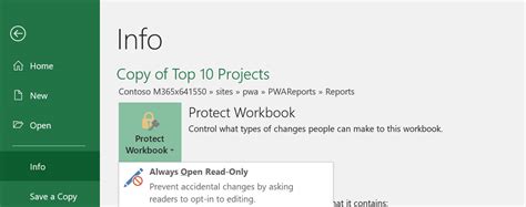 Making Project Online Excel Reports Read Only Sensei Project Solutions