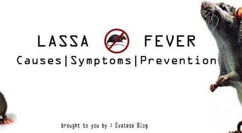 Lassa Fever Epidemicssafety Methods Reemee Medicare