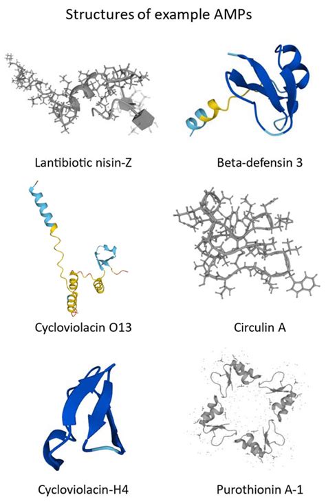 Ijms Free Full Text Antimicrobial Peptides Challenging Journey To