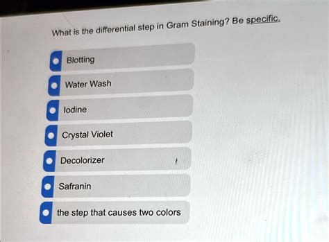 Solved What Is The Differential Step In Gram Staining Be Specific
