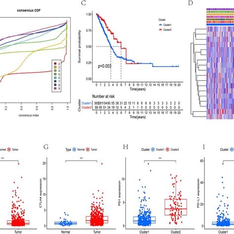 identification of luad subtypes using nmf consensus clustering in luad