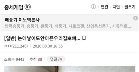 눈에 넣어도 안아픈 우리집 뽀삐 유머게시판 서치119