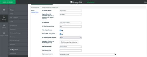 Snapshot Backups For Mongodb Using Minio