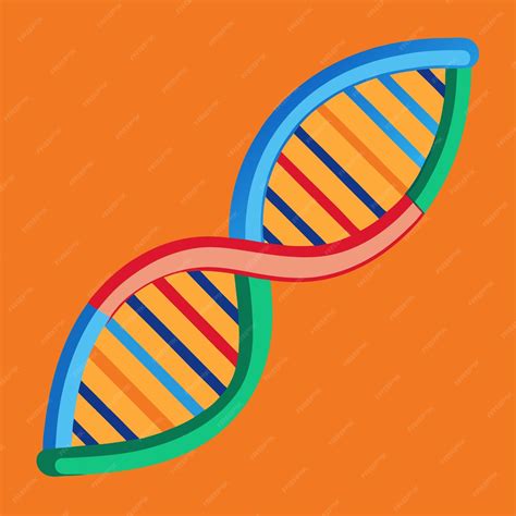 Detailed Vector Illustration Of A Dna Strand With Double Helix