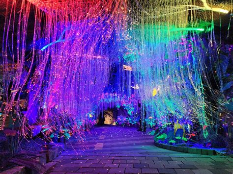 광명동굴 웜홀광장 빛의터널 경관조명 조성 광명동굴 웜홀광장 빛의터널 아바타 광섬유 Uv조명 토피어리 2022년