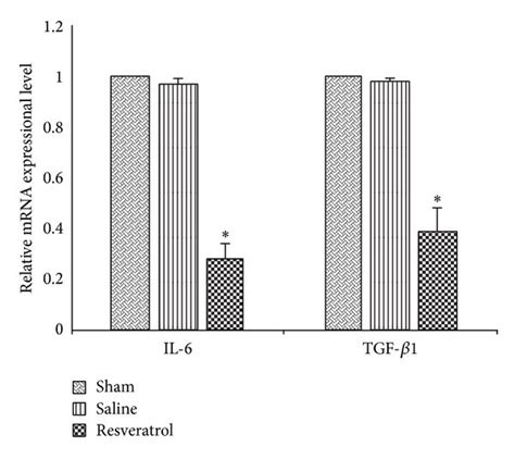 The Mrna Expressional Level Of Il 6 And Tgf β1 In Epidural Scar Tissue