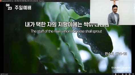 내가 택한 자의 지팡이에는 싹이 나리니 민 17 1 13 2023 04 23 Youtube