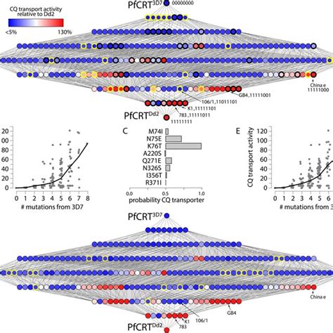 Models Can Be Trained On Measured Phenotypes To Predict Uncharacterized Download Scientific