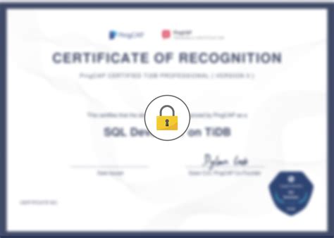 PCTSD Professional Level For Developers TiDB Certification Exam