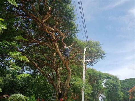 မြစ်သားမြို့နယ် လျှပ်စစ်ရုံးမှ ရပ်ကွက် ၁ ရပ်ကွက်နှင့် ကျေးရွာ ၂၄ ရွာမ