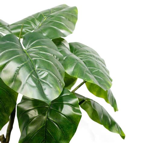 Cm Artificial Wild Taro Tree Sen Masine Factory