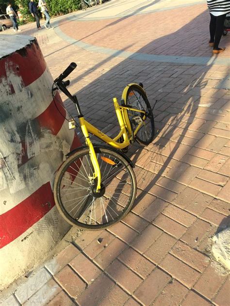 單車共享社會怪圈 每日頭條