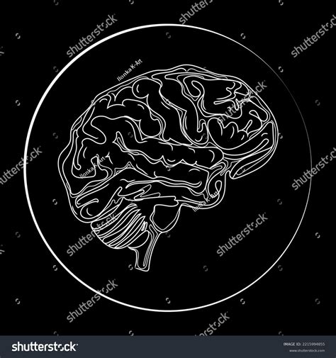 Human Brain Line Drawing Vector Logoemblemicon Stock Vector Royalty Free Shutterstock