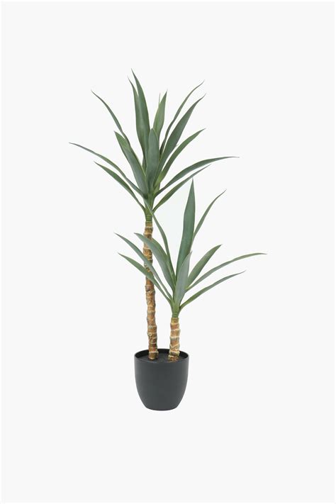 Twin Yucca Tree 108cm