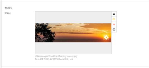 Image Focal Point How To Set It Up In The Template