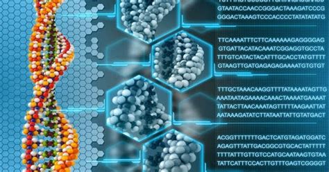 Mutatii In Adn Ul Nostru Dr Berrenda Fox