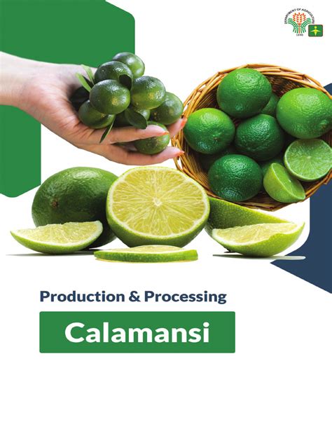 Calamansi Final Pdf Pest Organism Fertilizer