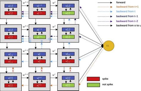 Biologically Plausible Spatiotemporal Adjustment Helps Train Deep
