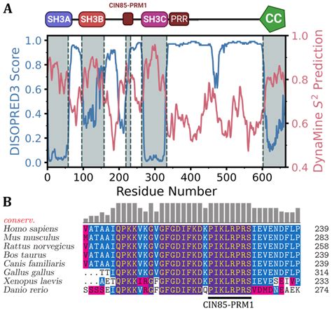 Sequence Based Analysis Of Cin85 Linker Regions A Prediction Of