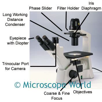 Microscope World Blog Inverted Biological Microscopes