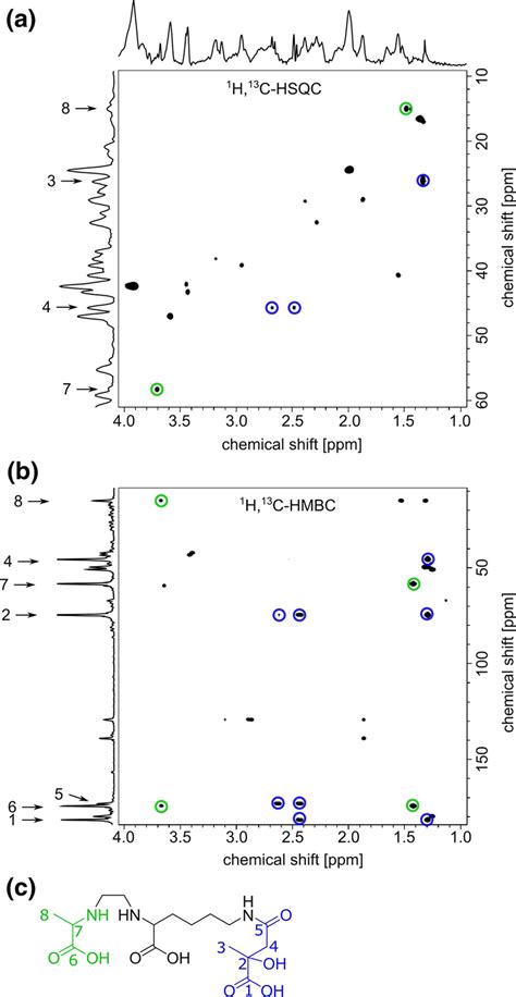 Nmr Analysis To Identify Rhizobactin B A¹h ¹³c Hsqc 600 Mhz Download Scientific Diagram