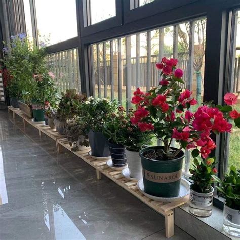 實木陽臺養花架臺沿加寬定製簡易花架炭燒鬆木防腐落地窗臺置物架 蝦皮購物