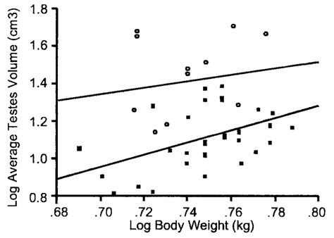 The Relationship Between Log Body Weight Kg And Log Average Testicle