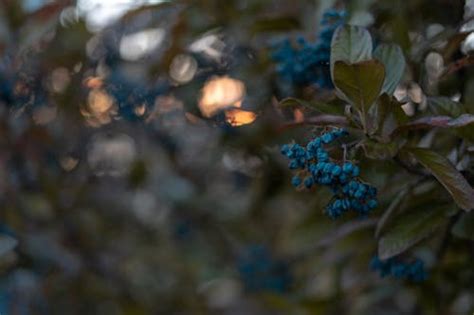 Jacoby Clarke · Photography