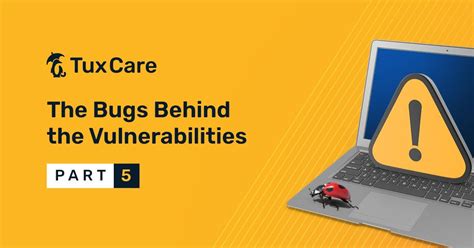 Jim Jackson On Linkedin Tuxcare Code It Blog Top5 Cybersecurity