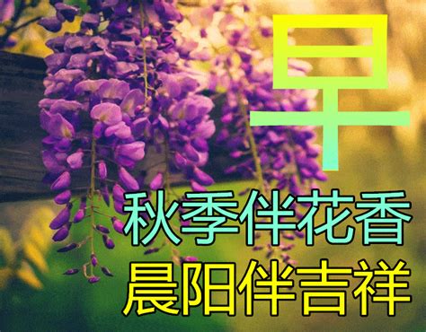 10月21日秋天早上好动态表情图片大全，早晨好动图美图大全生活祝福短信