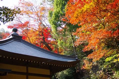 根来寺 写真集
