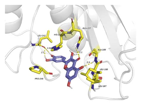 The 3d Interaction Diagram Of The Compound And The Target Was Analyzed Download Scientific