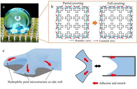 Pμsl 3d打印花瓣状微结构表面实现液滴操控、油水分离和减阻 知乎