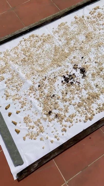 Мы не знаем что это такое если бы мы знали что это такое но мы не знаем что это… вьетнам