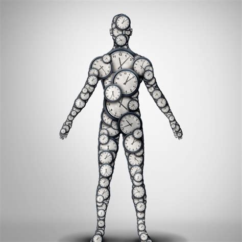 Understanding Our Internal Clocks The Basics Knowledgeable Aging