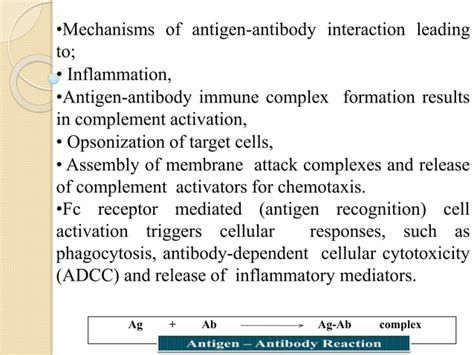 Antigen And Antibody Reaction Ppt