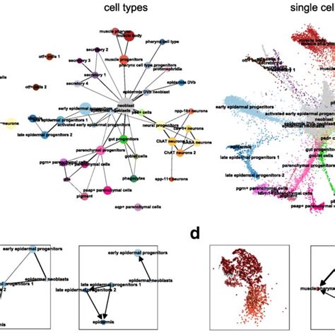 pdf paga graph abstraction reconciles clustering with trajectory