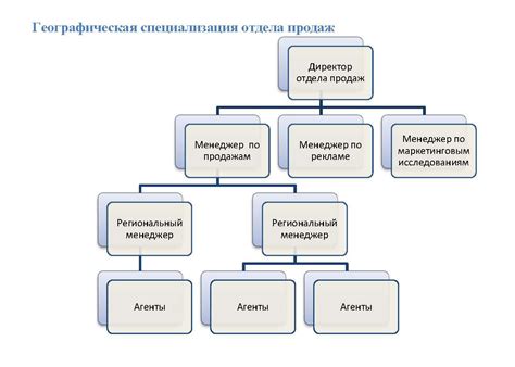 Организационная Структура Предприятия Оптового Магазина Кондитерскими Изделиями — Xxx