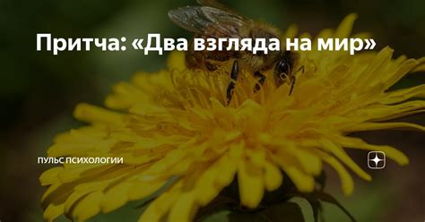 Притча Два взгляда на мир Пульс Психологии Дзен
