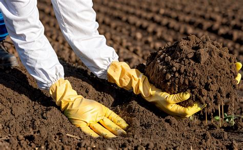 Epa 9045d Ph Testing Of Agricultural Chemicals In Soil