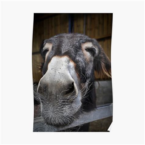 Eeyore Poster For Sale By Mhiggins Redbubble