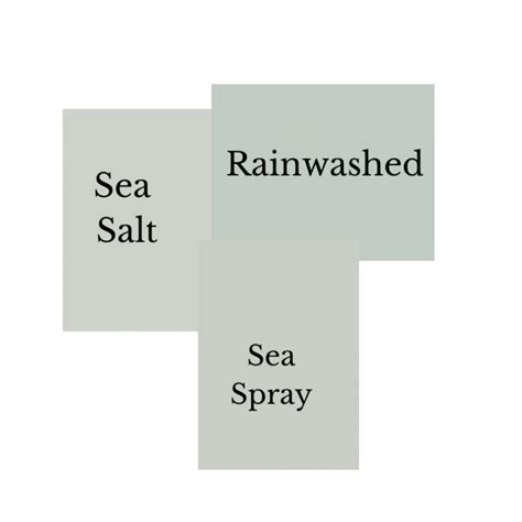 Sea Salt By Sherwin Williams Complete Review
