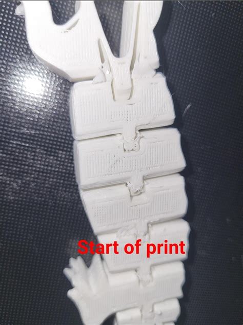 Ender 3 Issue R3dprinting