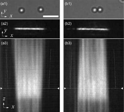 Optical Trapping With A Parabolic Phase Gradient Two Silica Beads 1 5 Download Scientific