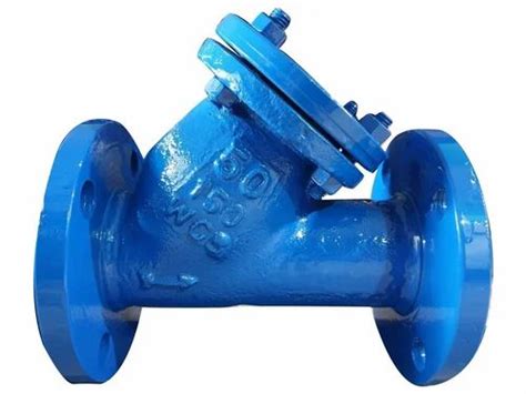 Gas WCB Y Strainer Valve At 40000 In Ahmedabad ID 2849492402473