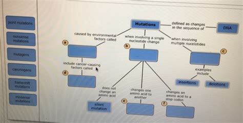 Drag Each Term To Its Correct Location In Clutch Prep